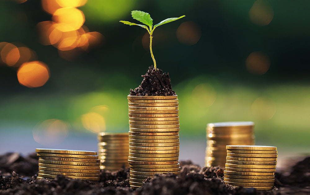 Pensions & Climate Change - How to make a real impact! – Narcissips